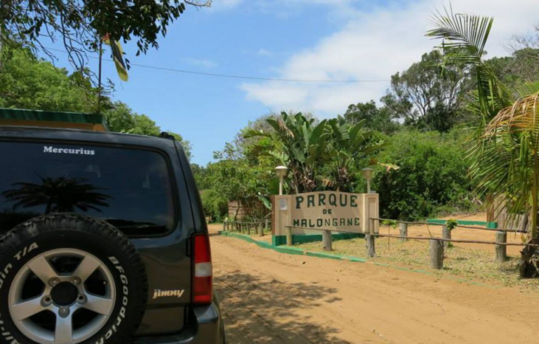 STRAB – The Subterranean Rhythm and Blues Experience